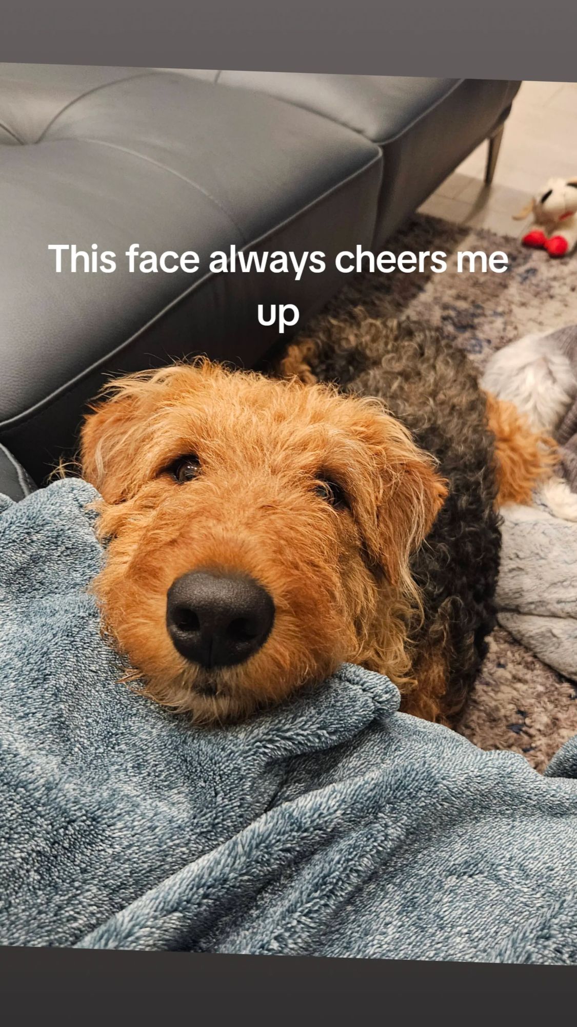 The Oscars, Celebrities, and My Inner ‘Old Lady’ No Filter – Schpilkes ...